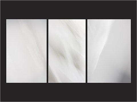 Diptys und Triptys - Martin Timm